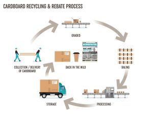 How Cardboard Is Recycled A Process Overview Green Products Ideas