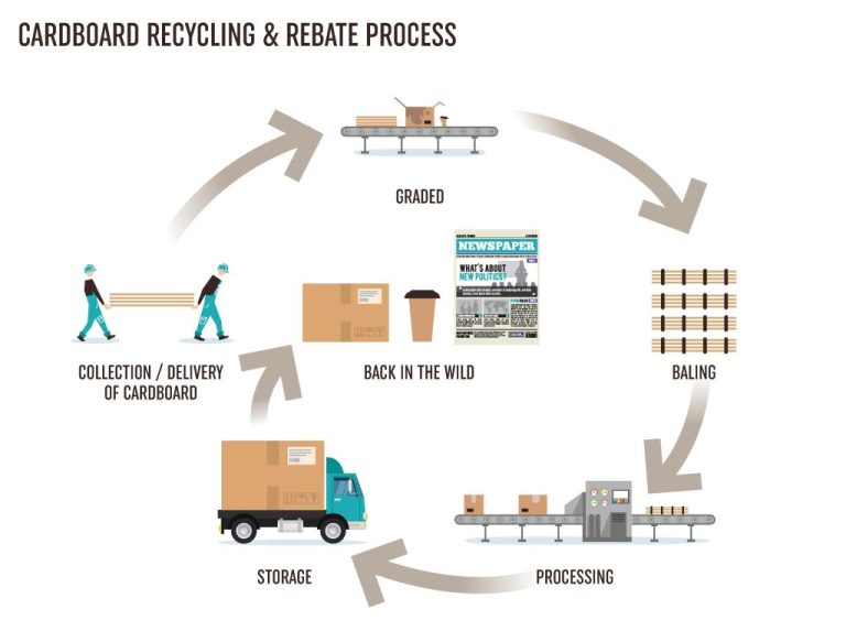 How Cardboard is Recycled: A Process Overview - Green Products Ideas